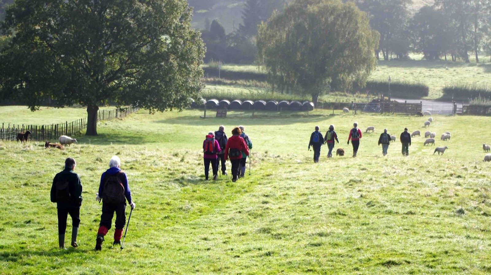 Out & About: Ellastone & Calwich Abbey