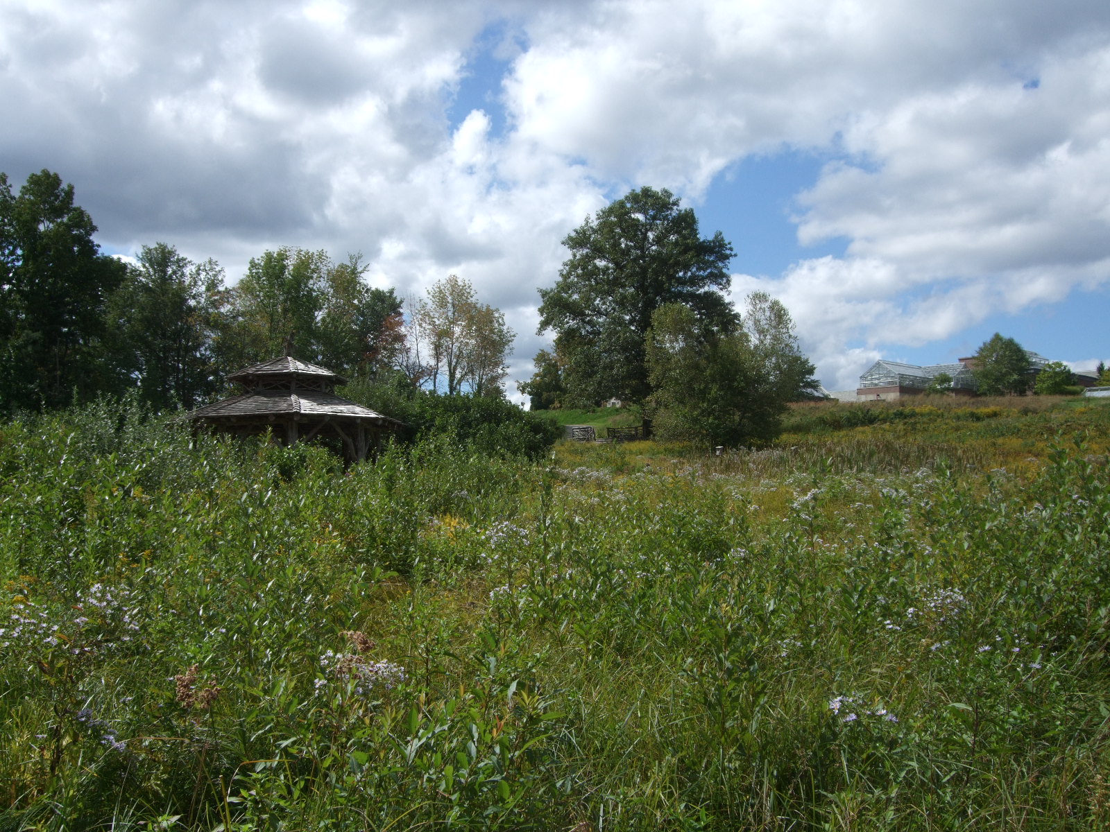 Life From The Roots: Tower Hill Botanical Garden, Worcester, MA and a ...