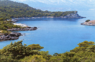 edipsos-evia: ΒΟΡΕΙΑ ΕΥΒΟΙΑ: ΤΟ ΑΠΟΚΟΡΥΦΩΜΑ ΤΗΣ ΦΥΣΙΚΗΣ ΓΕΝΝΑΙΟΔΩΡΙΑΣ