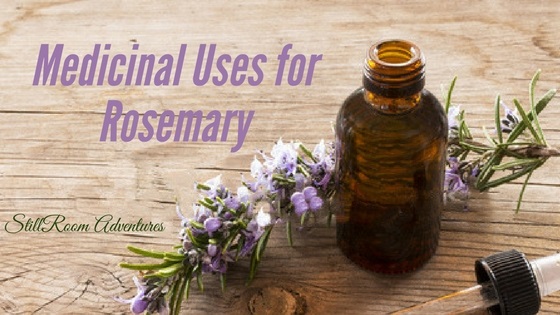 Medicinal Uses for Rosemary