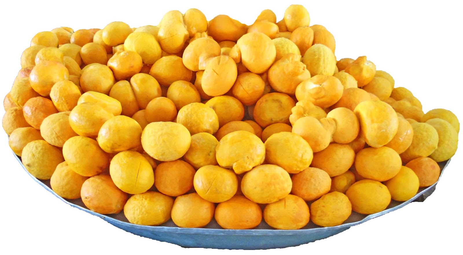 Pequi (Caryocar brasiliense Cambess) | A planta da vez