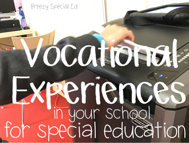 Classroom Jobs + School Vocational Experiences - Breezy Special Ed