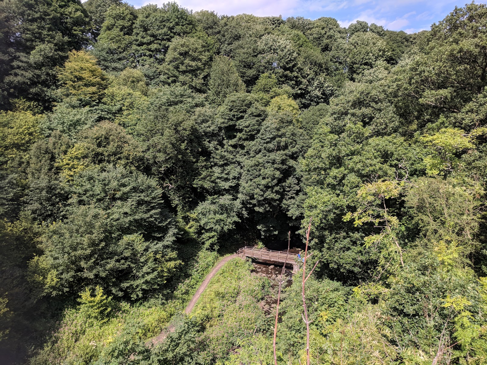 Tanfield Railway | Britain's Oldest Railway & a Picnic at Causey Arch ...