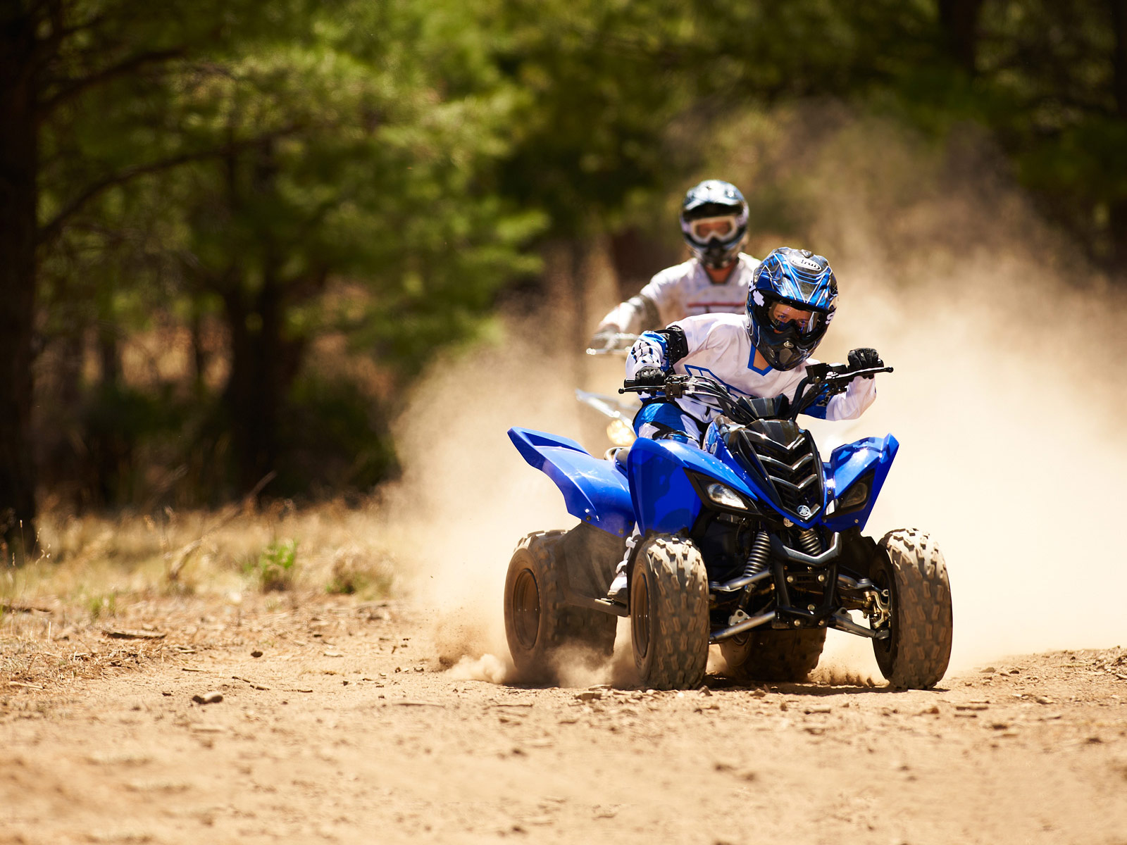 2012 YAMAHA Raptor 90 ATV wallpapers, review, specifications