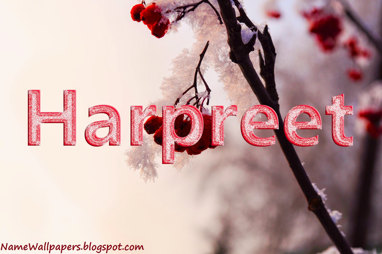 Harpreet Name Wallpapers Harpreet ~ Name Wallpaper Urdu Name Meaning ...