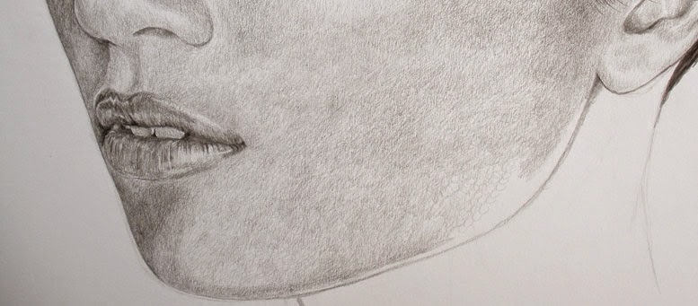 Step By Step Advanced Graphite Drawing Techniques How To Draw