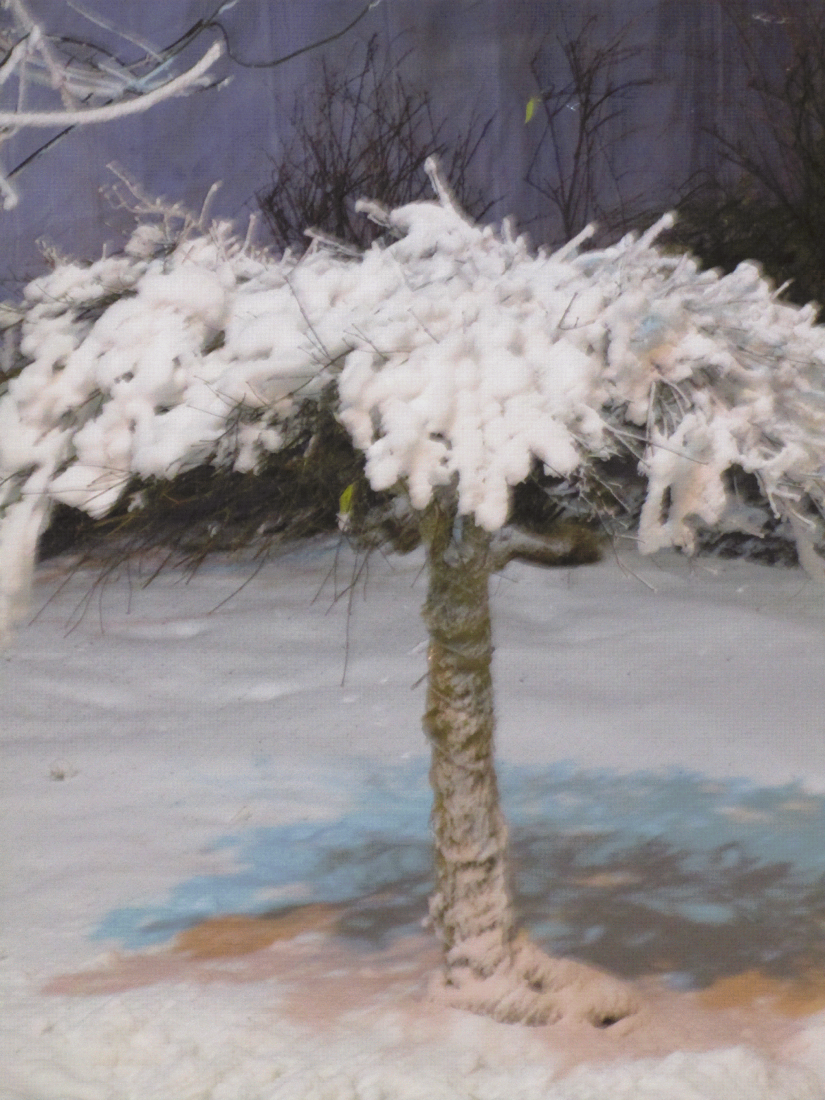 permata hati mama: MUSIM SALJI DI MALAYSIA