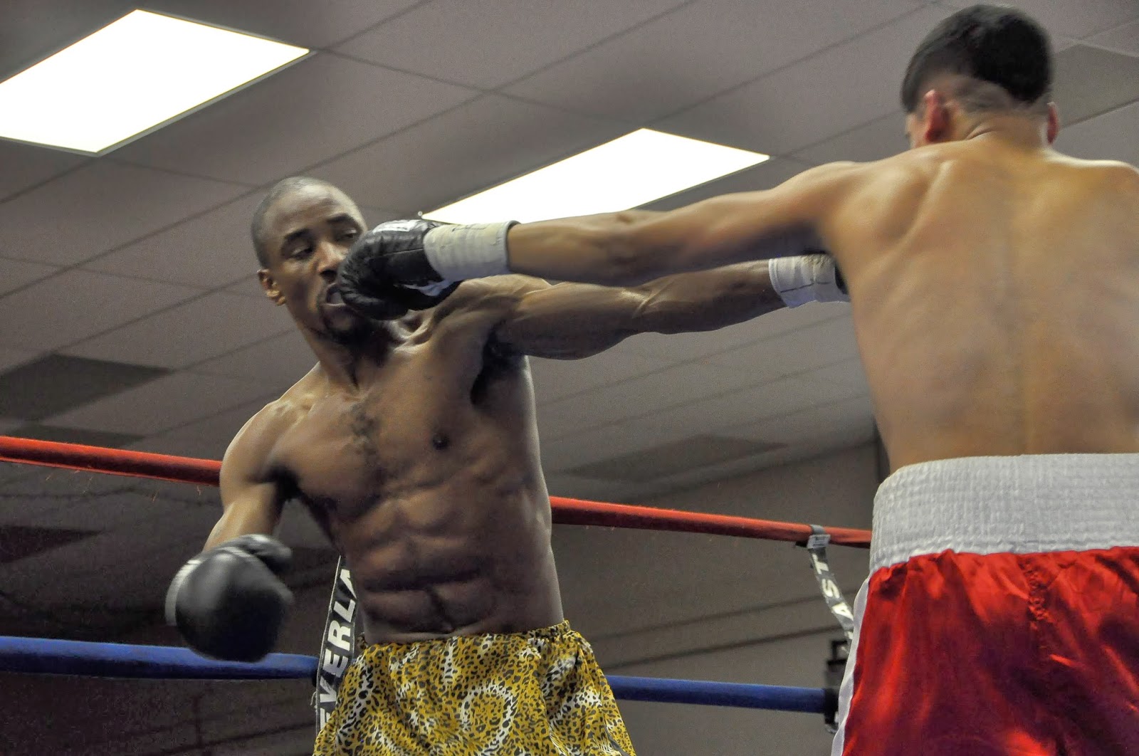 Boxing Along The Beltway: Chinea Wins By TKO Stoppage Over Olinga in Fourth!