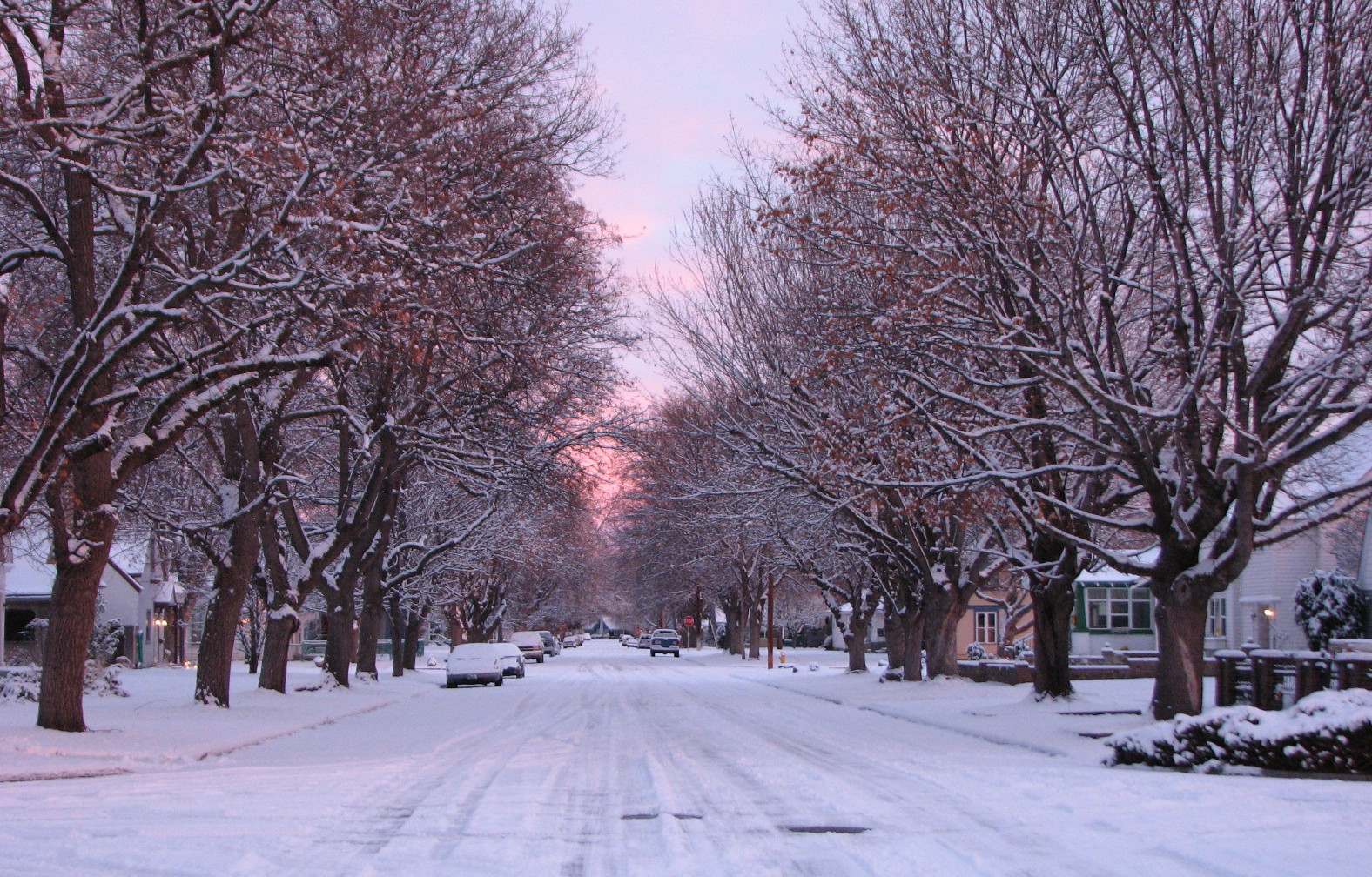 Father Julian's Blog: December signs