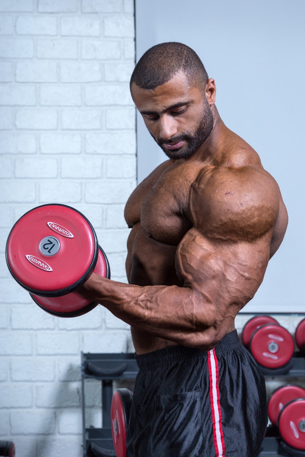 Muscle Lover: Egyptian IFBB Pro bodybuilder Ahmed Shams