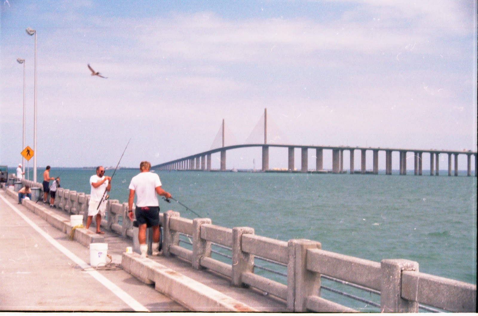 Bridge of the Week: Cable-Stayed Bridges - Sunshine Skyway Bridge