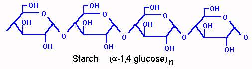 Biological Molecules : Synthesis/Hydrolysis and Carbohydrates