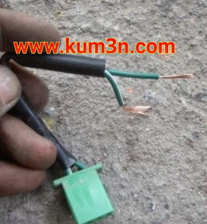 Tips Mudah-Mudahan Kabel Motor Terhindar Dari Gigitan Tikus - Hobi Motor