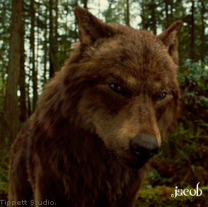 Jacob Black Werewolf Transformation