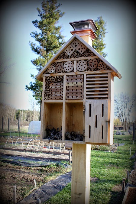 What is a Garden Bug House? How it Helps Your Garden Thrive?