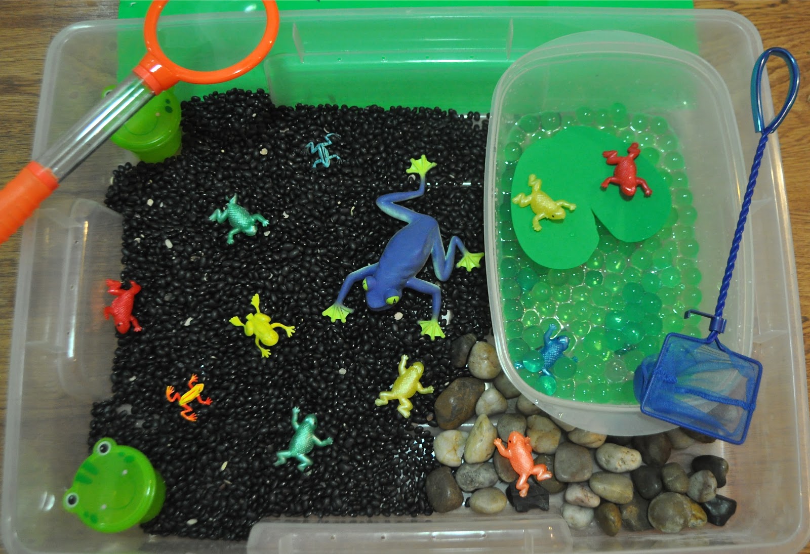 Minding Monkeys: Sensory Bins