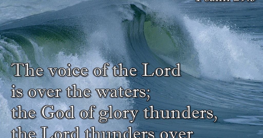 PRAY BIBLE PROMISES: PSALMS (161)