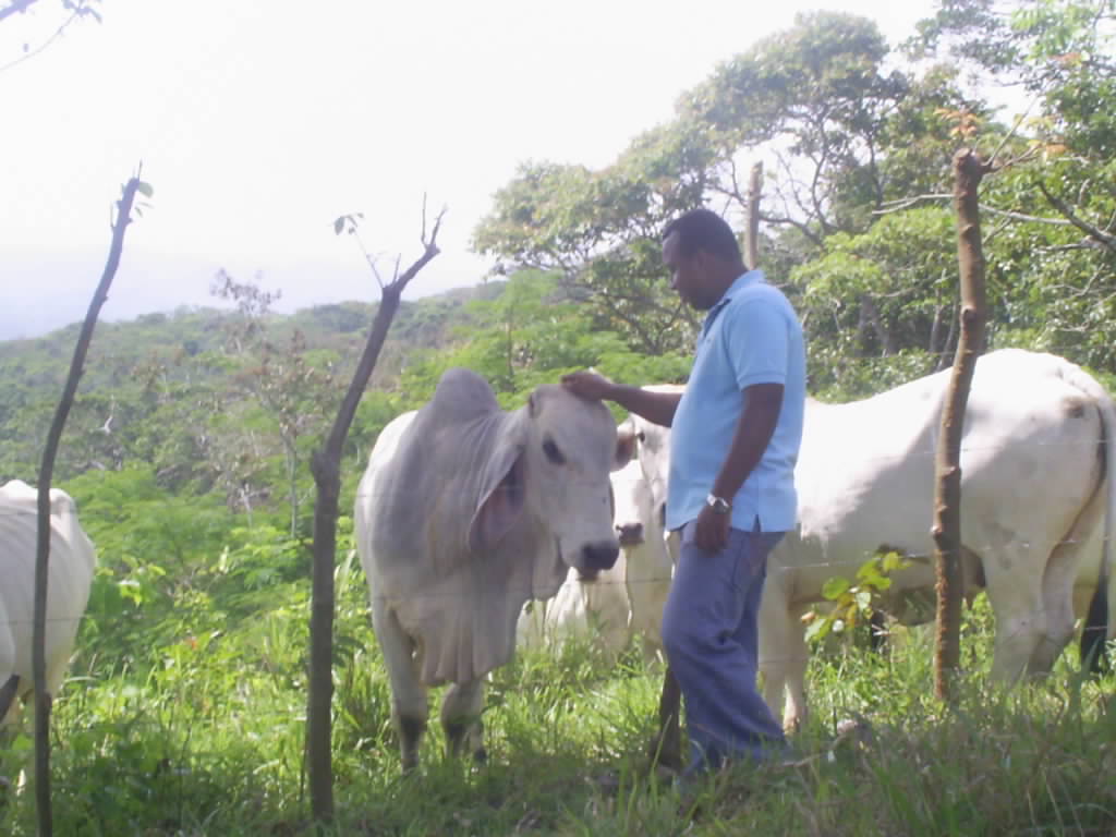 Haciendas Agroturisticas Pamel y Canajagua. : Agroturismo en La ...