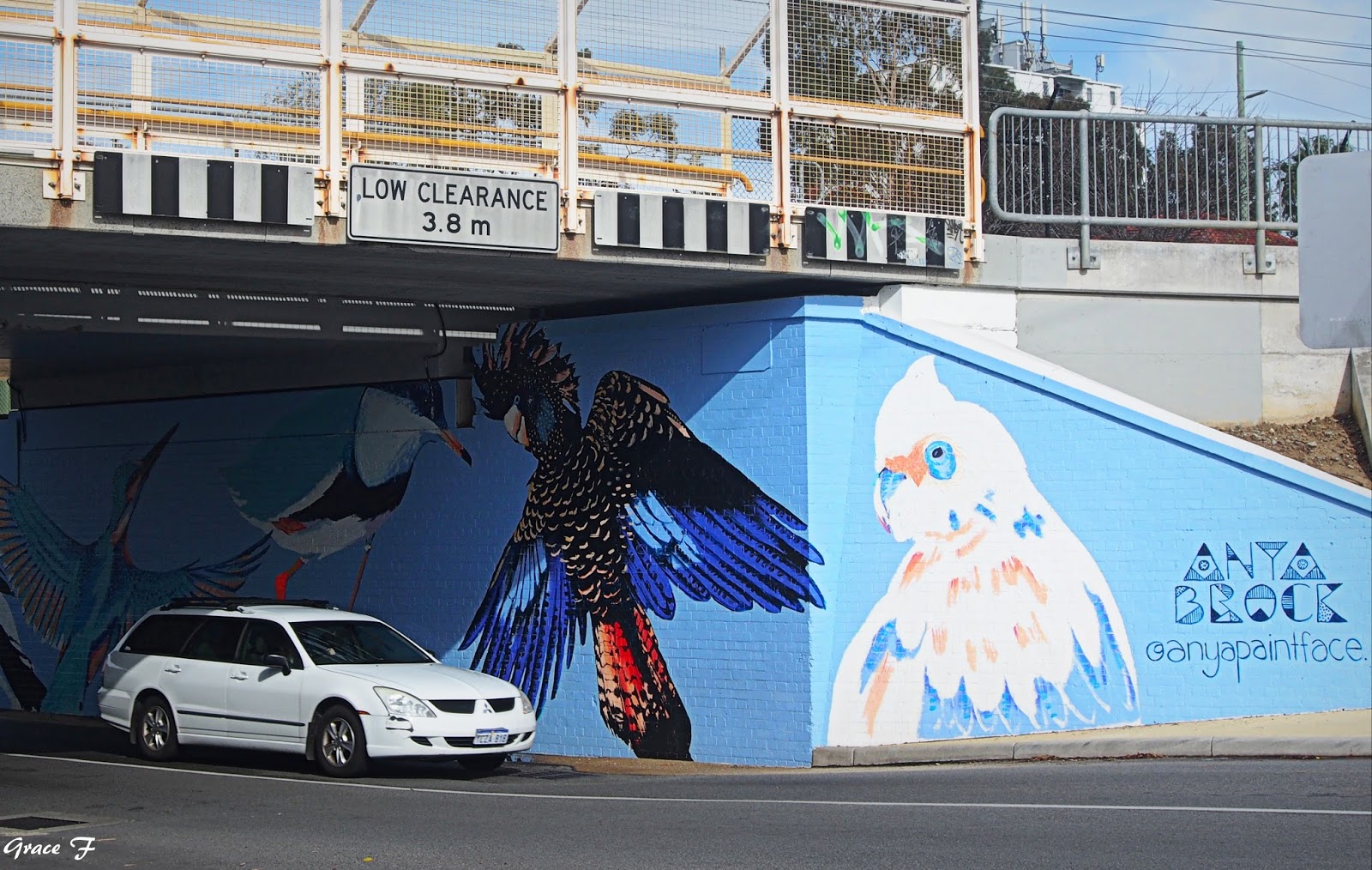Perth Daily Photo : Anya Brock.. birds under the bridge.
