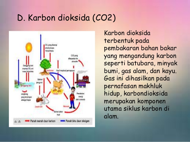 pengatahuan islam: Manfaat Karbon dioksida