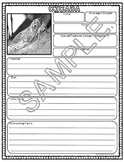 Primary World: Insect Crafts and Writing...Going Buggy!