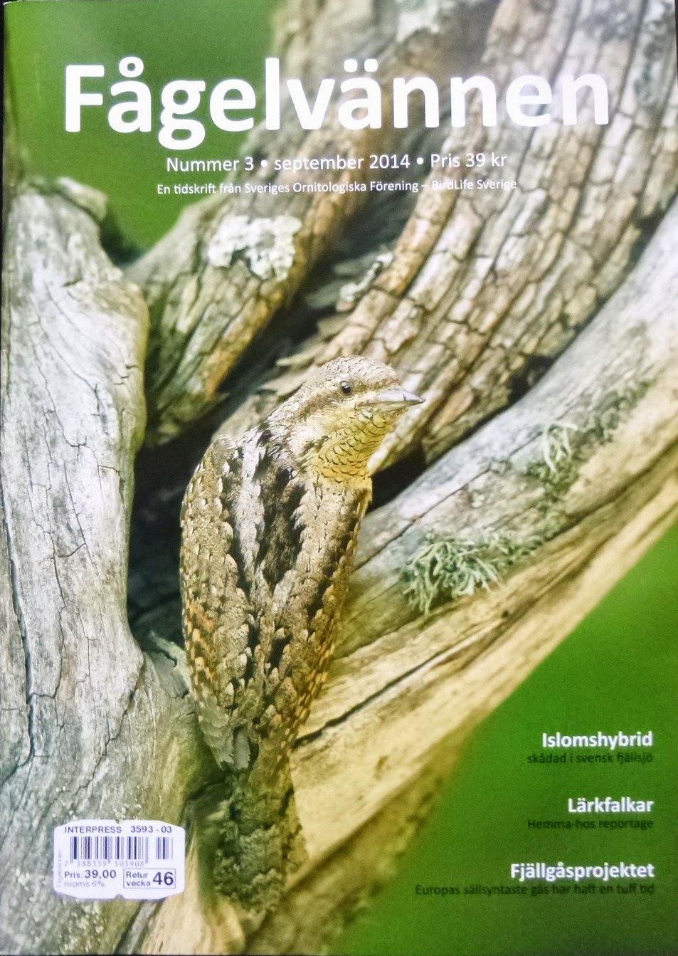 tidningstankar: För nördar och spanare med kikare