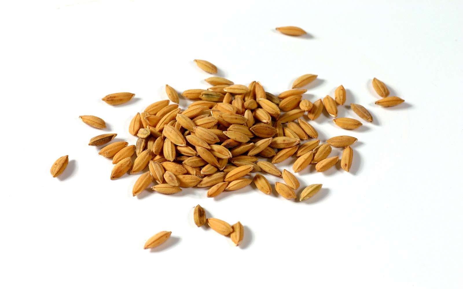 Green Farmland Trading: Quality Myanmar Long Grain White Rice