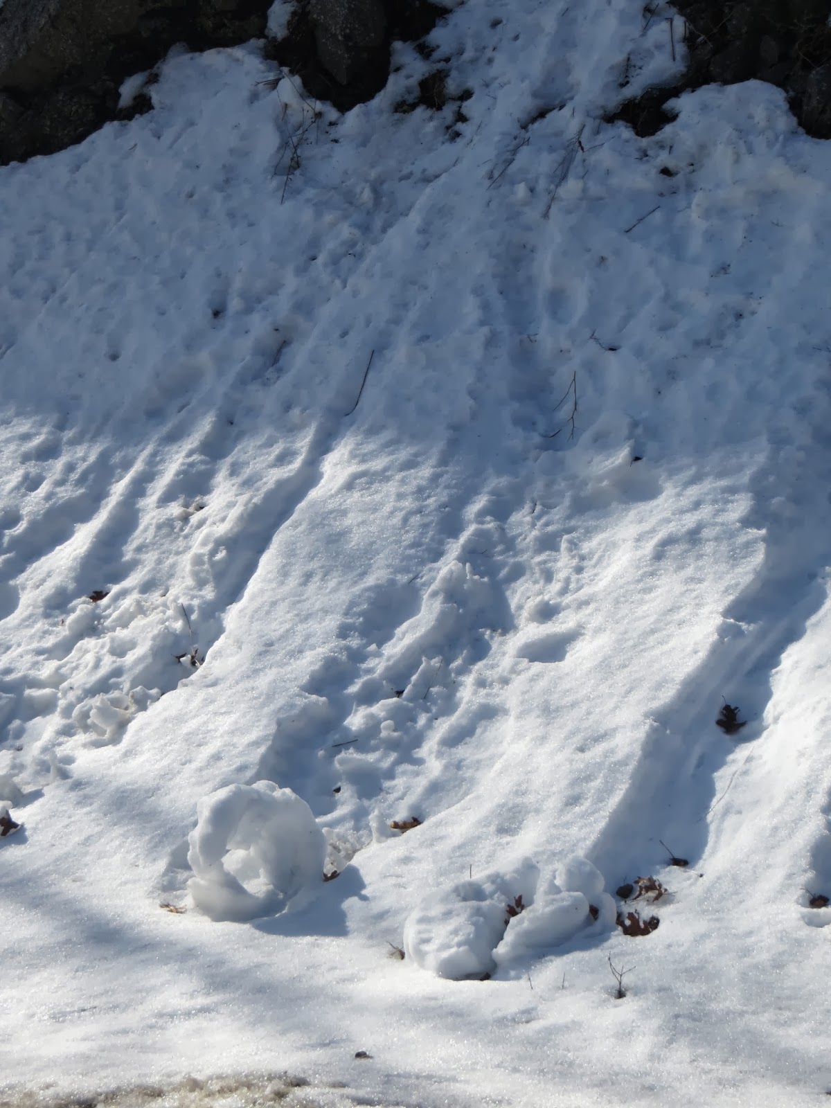 jillgoes: A Weird Snow Phenomenon