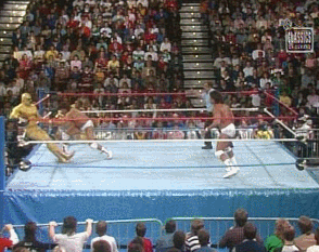 Steve's Graps: WWF Prime Time Wrestling-April 18, 1988