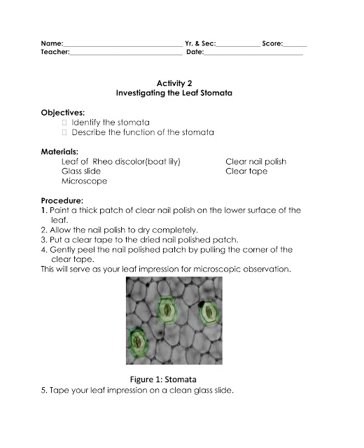 Science Concepts and Questions (K to 12): Photosynthesis and Cellular ...