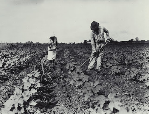 Between the Gate Posts: June 2013