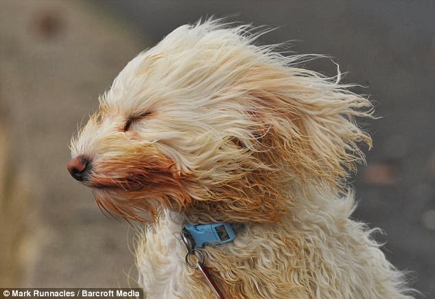 Hope & Chances Creativity: Blown away??