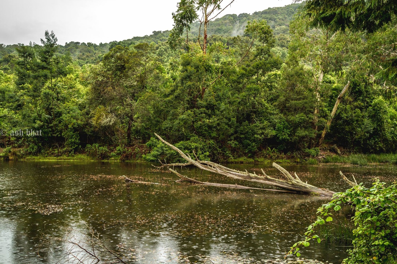 BTC trek to Kukkal Valley - Bangalore Trekking Club®