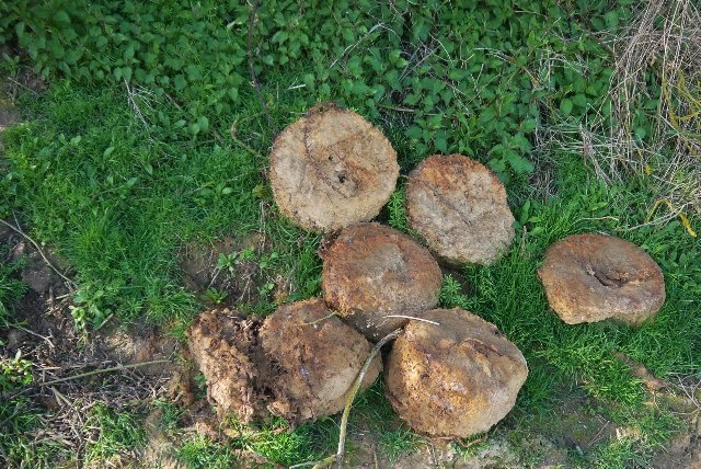 WW1 and WW2 Defences - Suffolk and beyond: Somme Relics - 2014