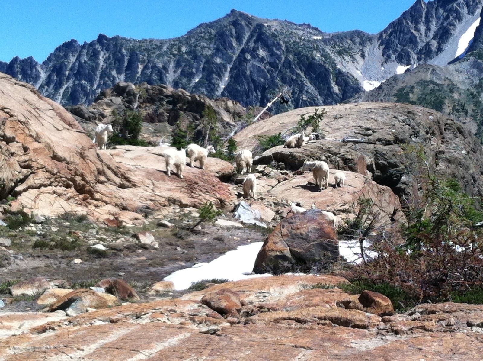 Mind.Of.Melanie: July 13 & 14, 2013 Trip Report: Mt. Stuart - Longs ...