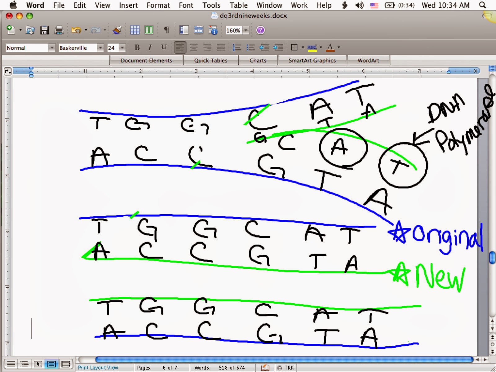 EC Honors Biology: DNA Replication Wrap Up
