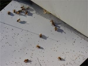 CardMonkey's Paper Jungle: The Most Important Blog Post You'll Read ...