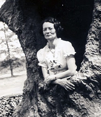 Dixie Roots: What's Your Name?