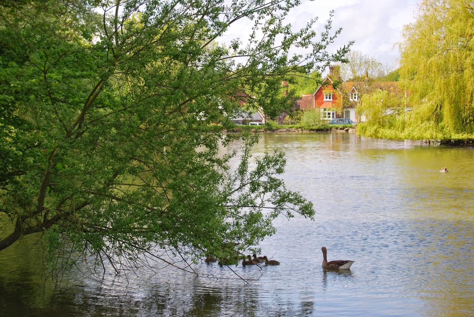 Days out in Sussex - A Country idyll and an abundance of lilac in ...