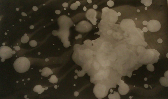 Unit 2 Materials & Techniques: My Photograms