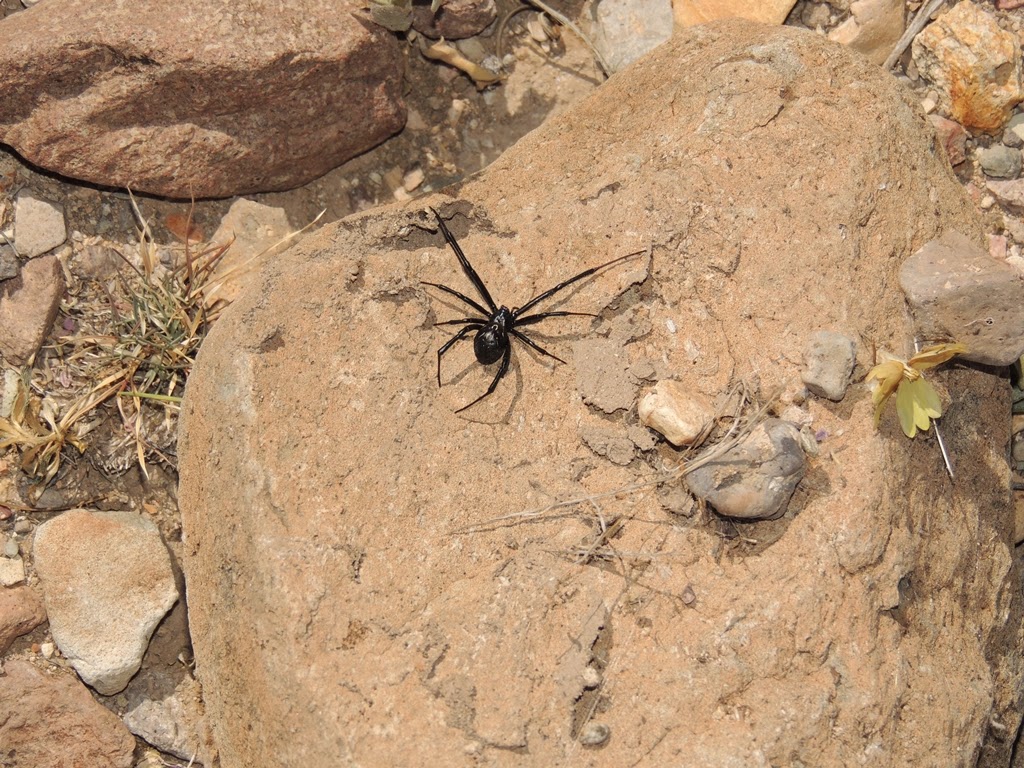 National Park Diary: March 2014