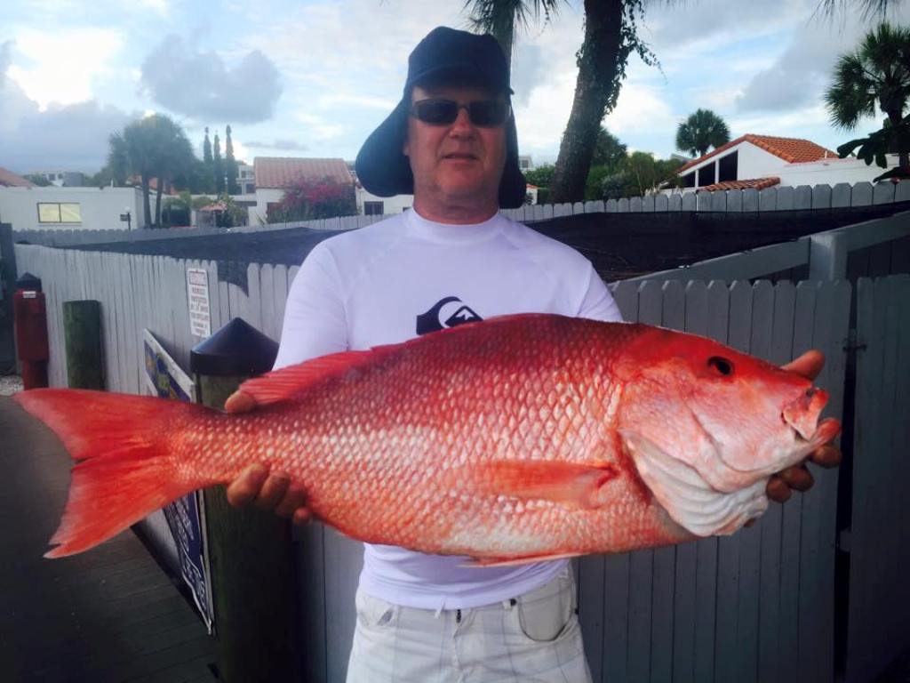 Red Snapper Fish, Red Snapper Fish Wholesale, Red Snapper Nutrition ...