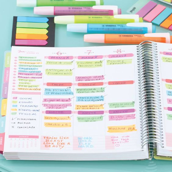 Rosicler Araujo: Planners - ideias do Pinterest