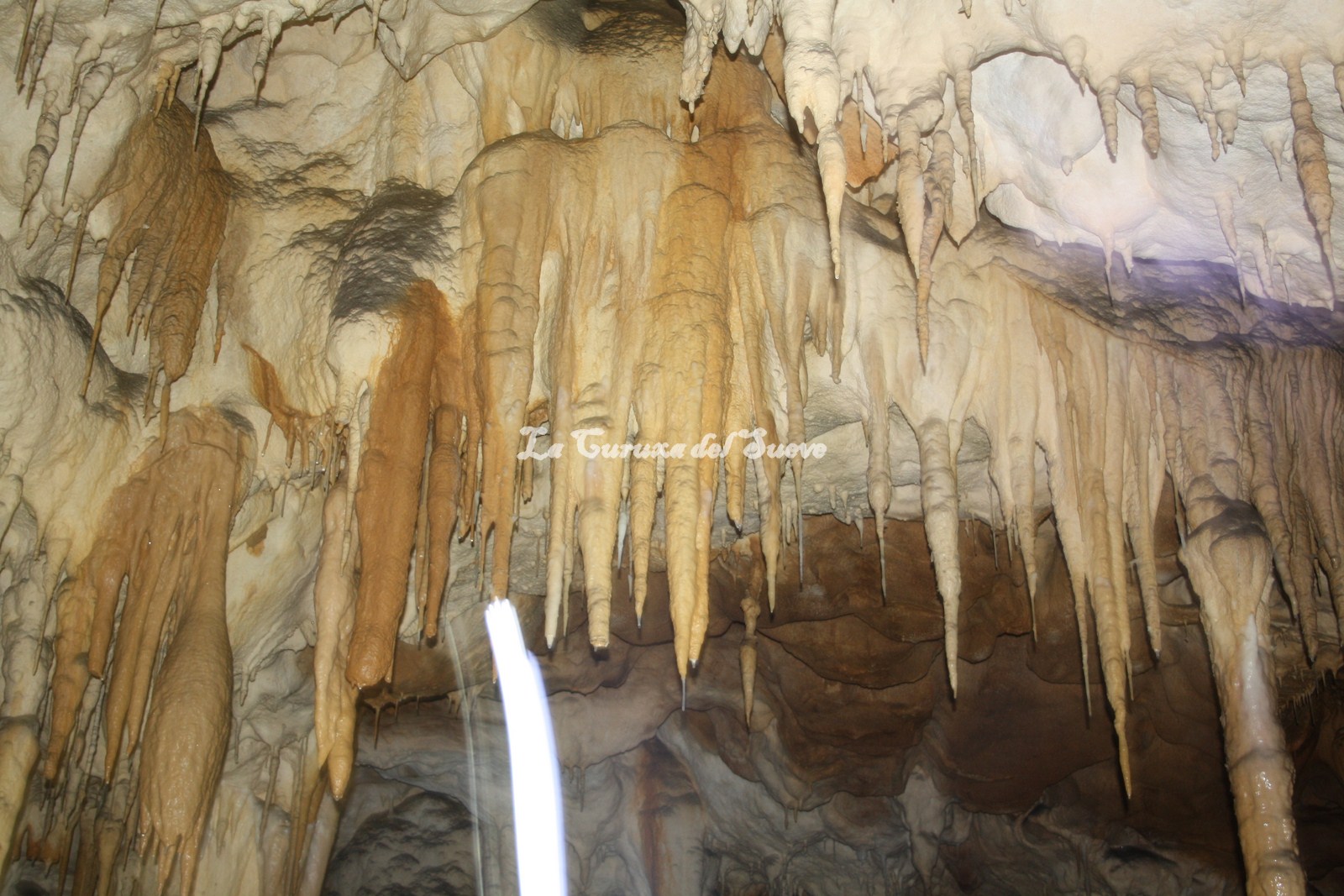 El Blog de La Curuxa del Sueve: CUEVA DE PANDO