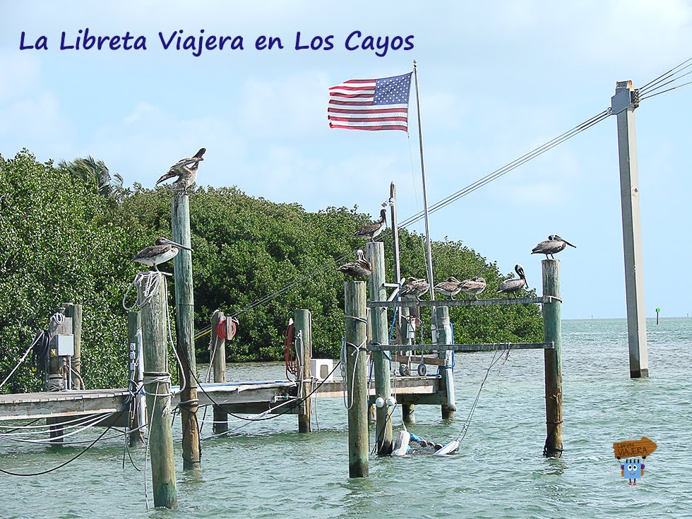 Un recorrido por Los Cayos de Florida - Notas en mi Libreta Viajera