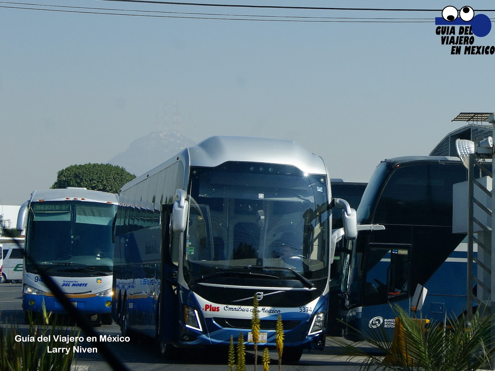 Las líneas que tienen participación de IAMSA