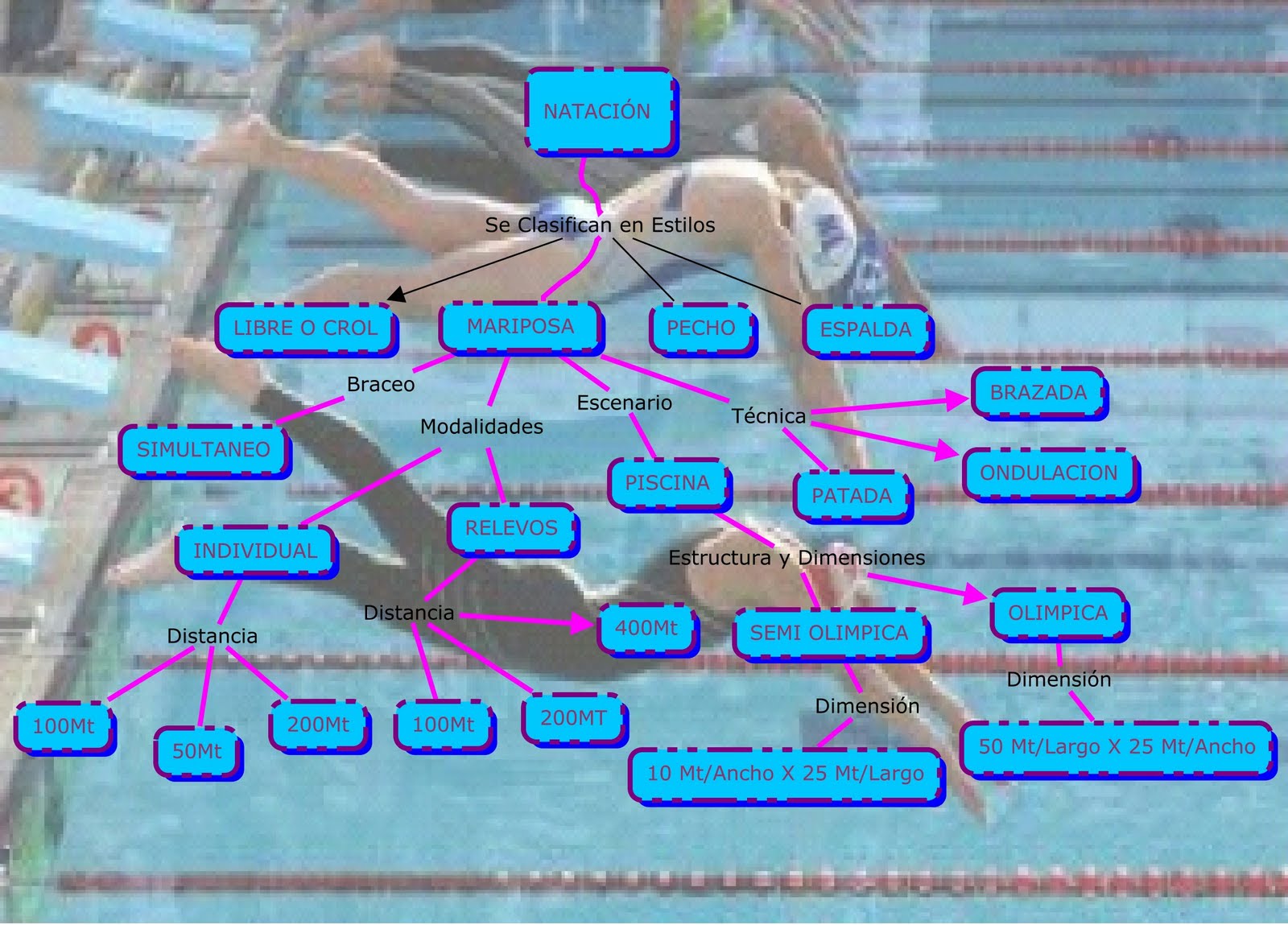 ESTILO MARIPOSA: ESTILO MARIPOSA