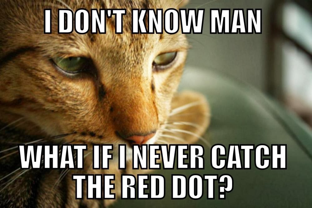 Dark Phantom: Berry's Introspection Meme