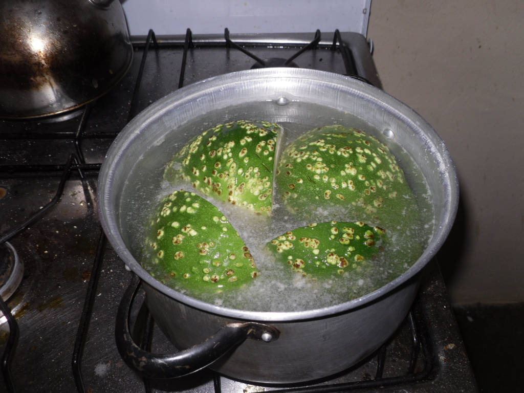 Botswana Adventure: Ke apiele Leraka (I cooked Leraka)