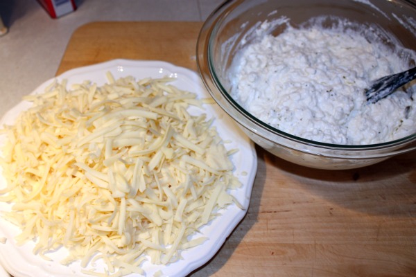 Recipes For Divine Living: Delicious Easy Lasagna